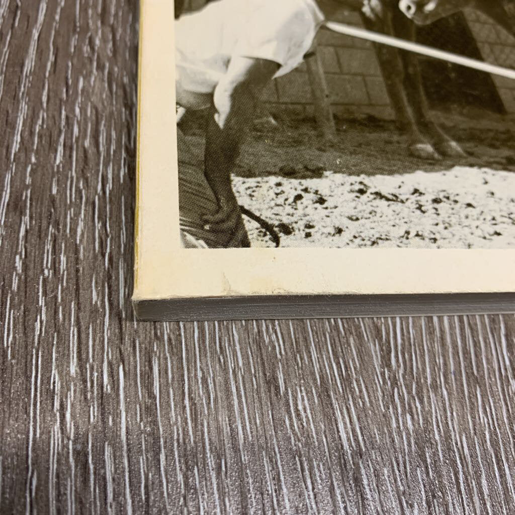 The Fun of Raising a Colt by Frank Griffith *gc, yellowed, stains, rub ...