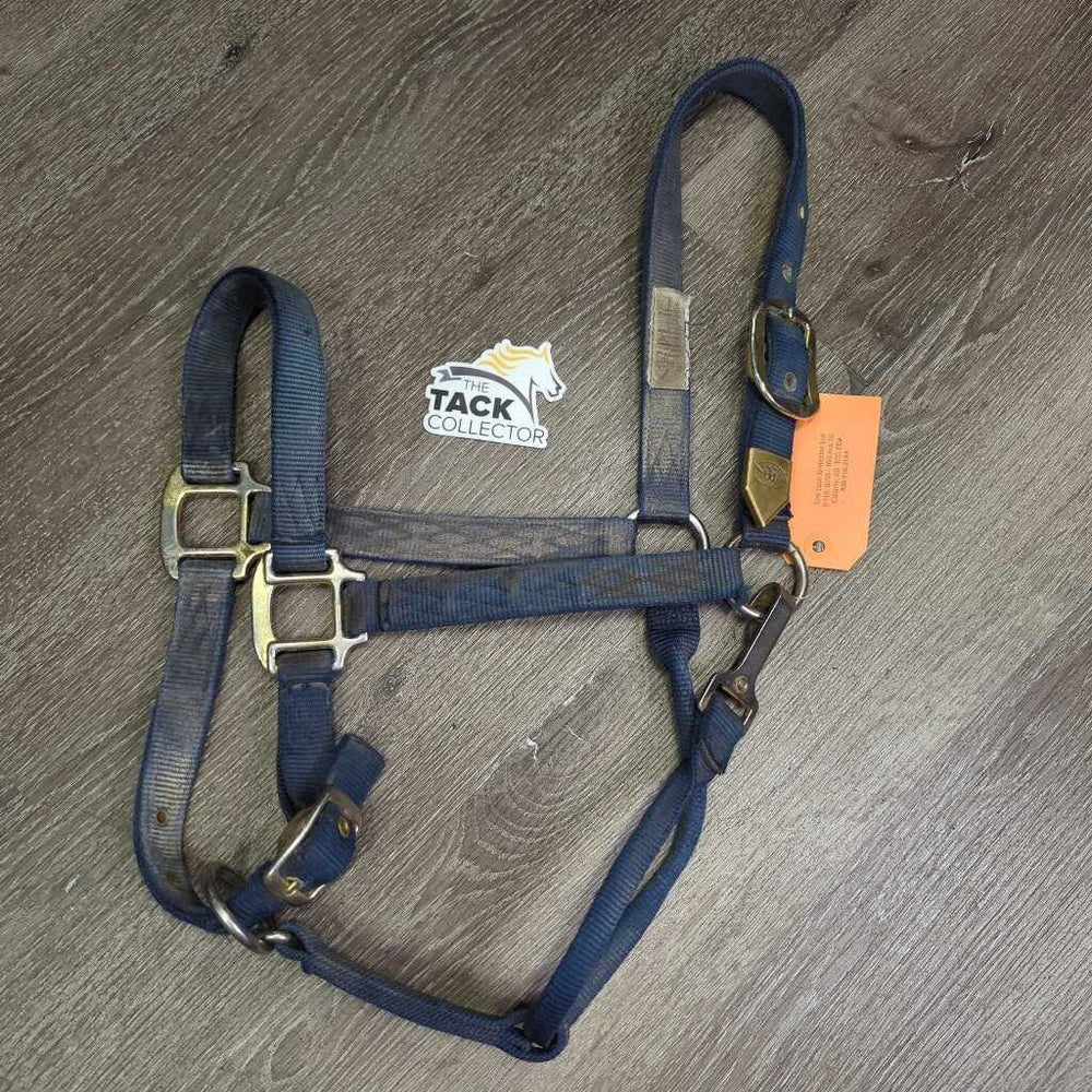 Nylon Halter *gc, dirty, residue, rubbed, scuffed, faded, mnr rust ...